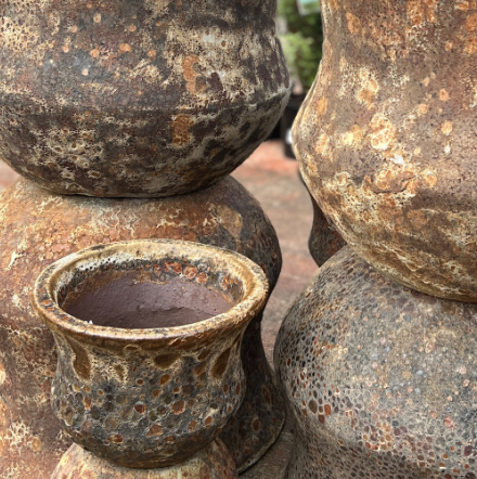 SHOAL Tub- POT - Echuca Plant Farm