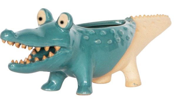 QUIRKY Croc Planter - Echuca Plant Farm