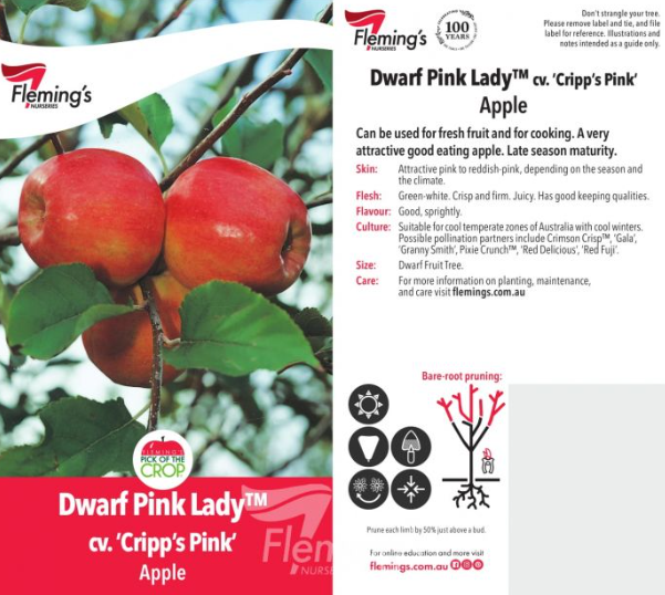APPLE Dwarf Pink Lady cv. 'Cripps Pink' - Echuca Plant Farm