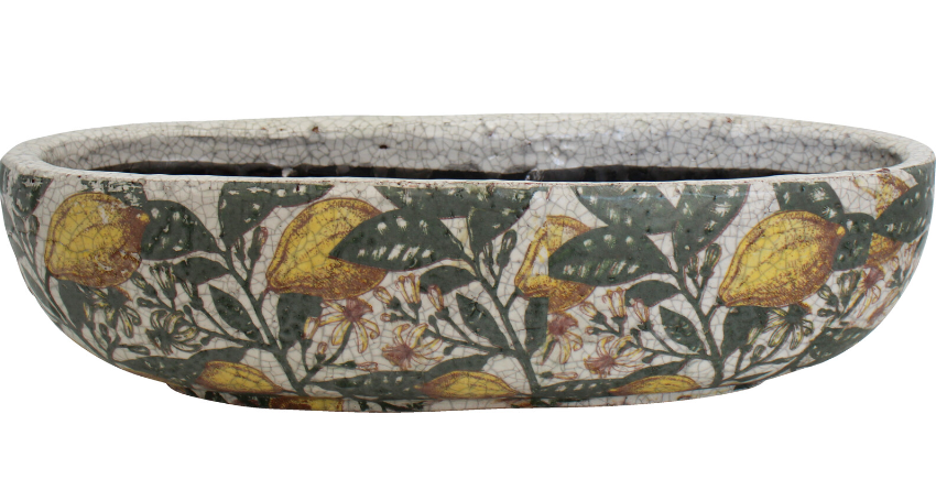 LEMONCELLO Oval Pot - Echuca Plant Farm