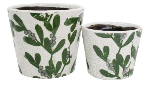 Pot S/2 Leaves - Echuca Plant Farm