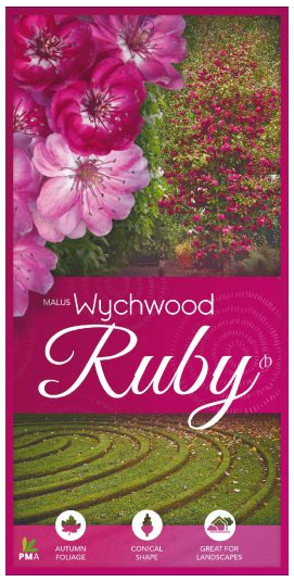 MALUS yunnanensis 'Wychwood Ruby' - Echuca Plant Farm