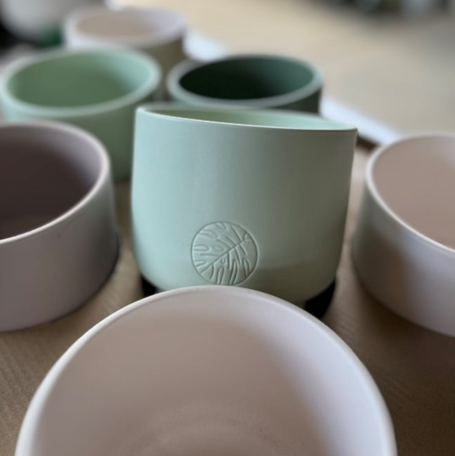 MONSTERA Elevated Pot - Echuca Plant Farm