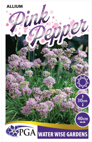 ALLIUM 'Pink Pepper' - Echuca Plant Farm